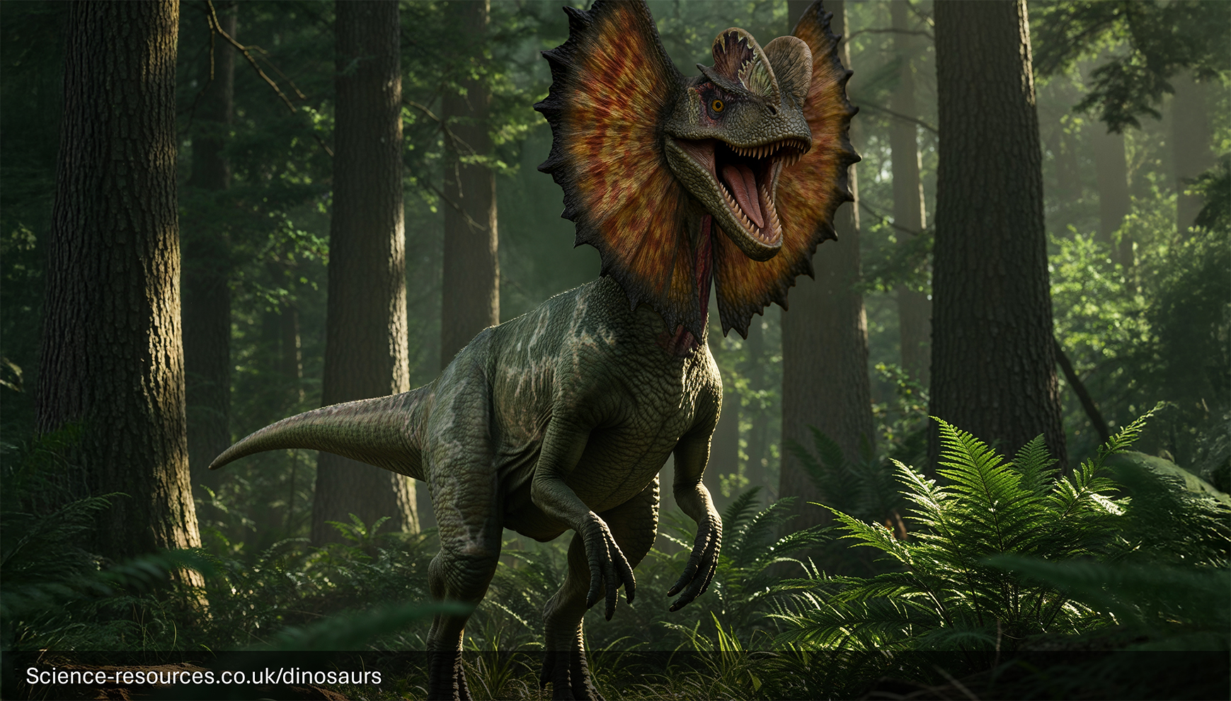 science-resources.co.uk - Dinosaurs: Dilophosaurus